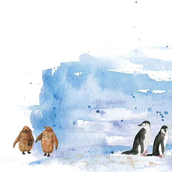 Feathered Friends | Self-Confidence Tales | Bedtime Stories